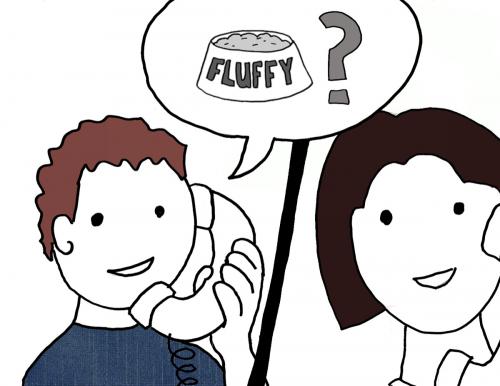 Storyboards for Language Documentation