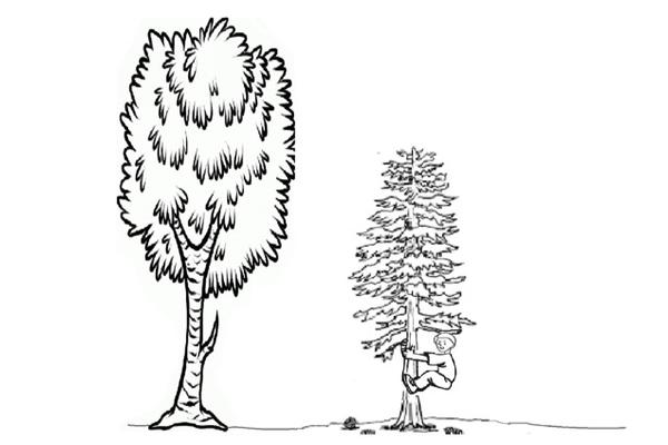 Storyboards for Language Documentation