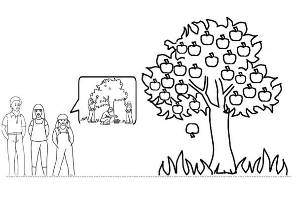 Storyboards for Language Documentation